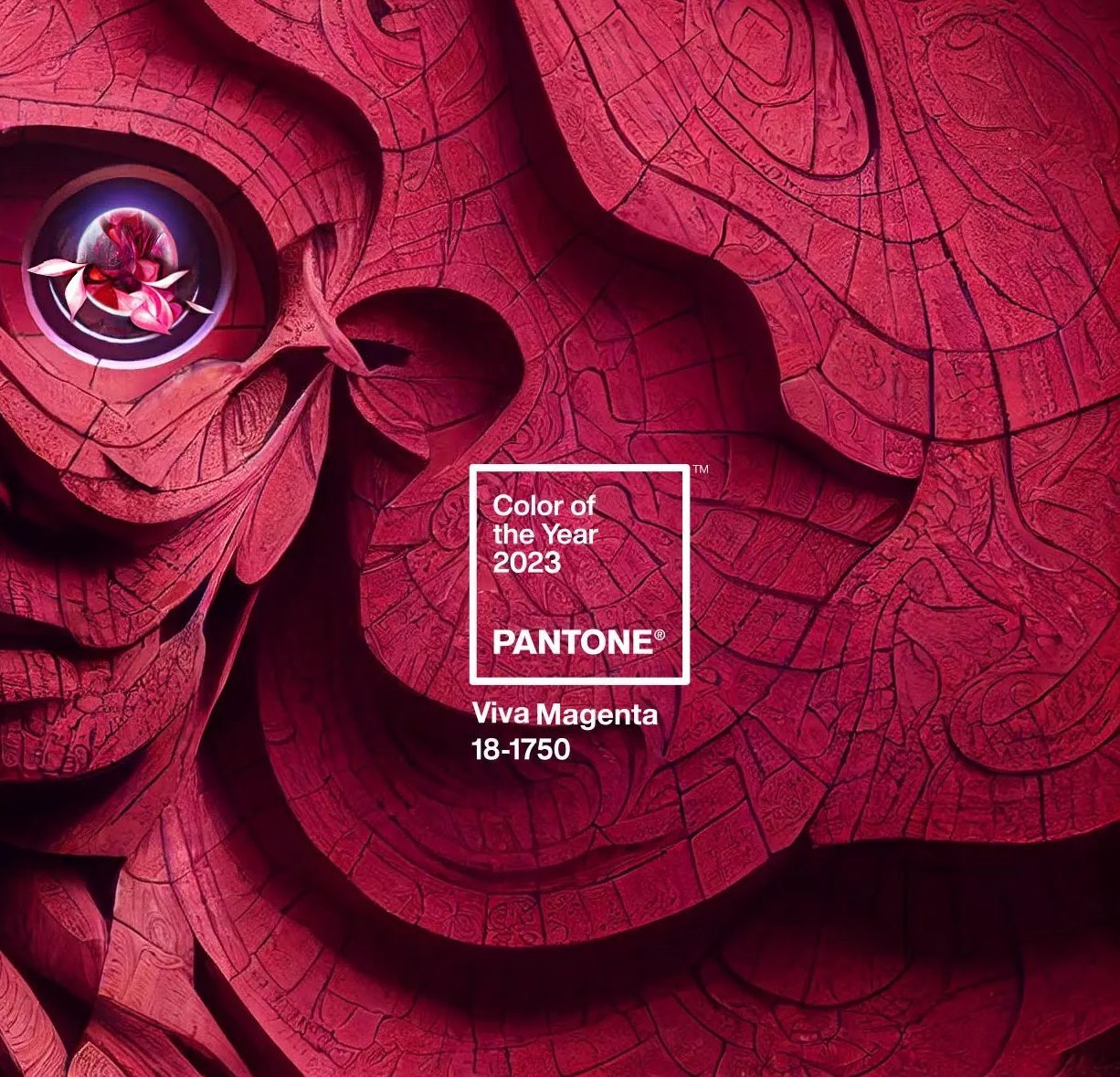 Pantone’s 2023 Color Of The Year, Viva Magenta | AME