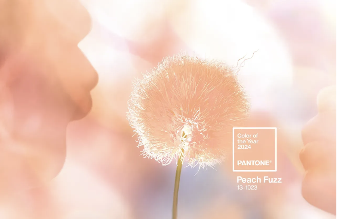 Pantone’s Color of the Year 2024: Peach Fuzz | AME
