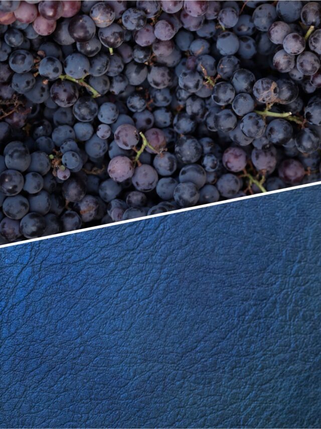 Luxury Corporate Gifting | AME