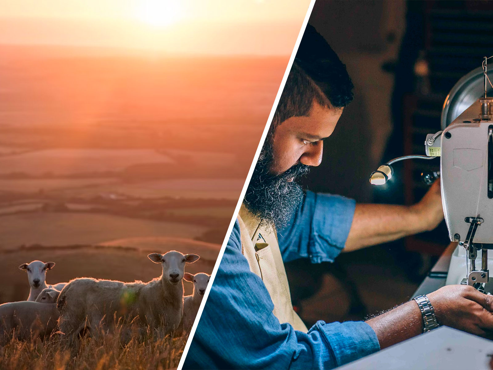 Local Know-How | AME